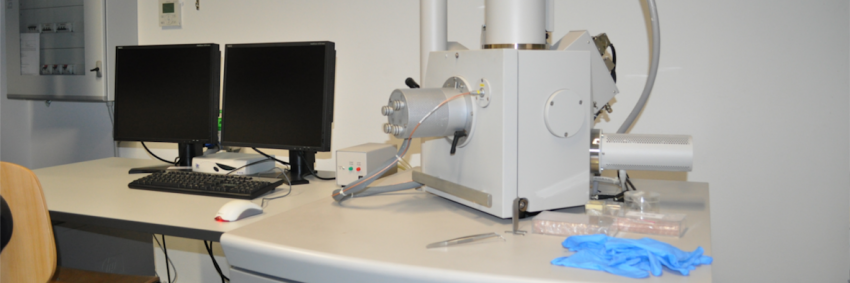 Scanning Electron Microscope - SEM | Università degli Studi di Sassari