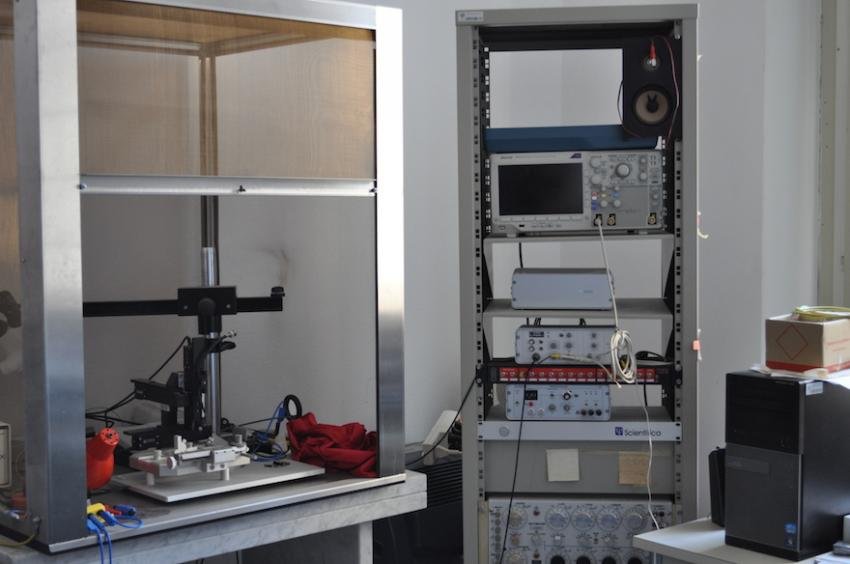 Electrophysiology laboratory | Università degli Studi di Sassari